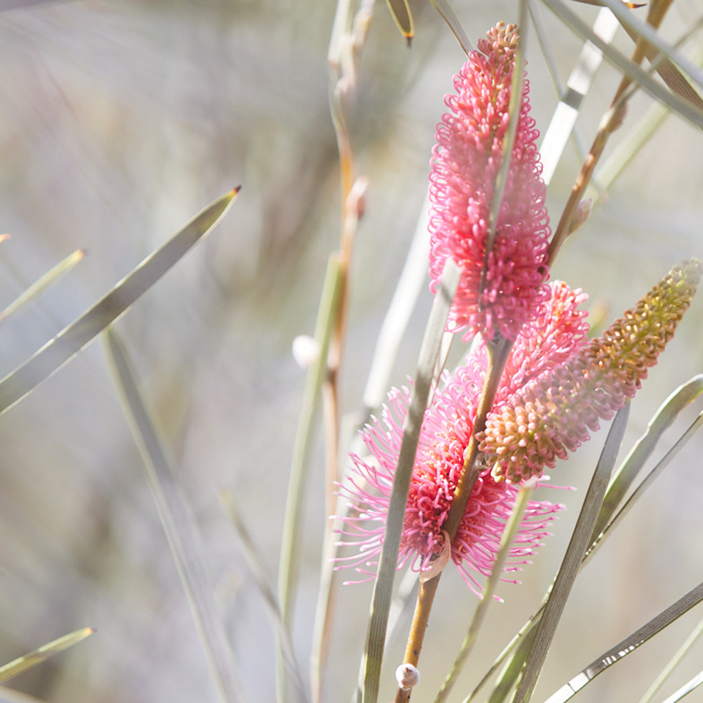 021 Navy | Jardan US